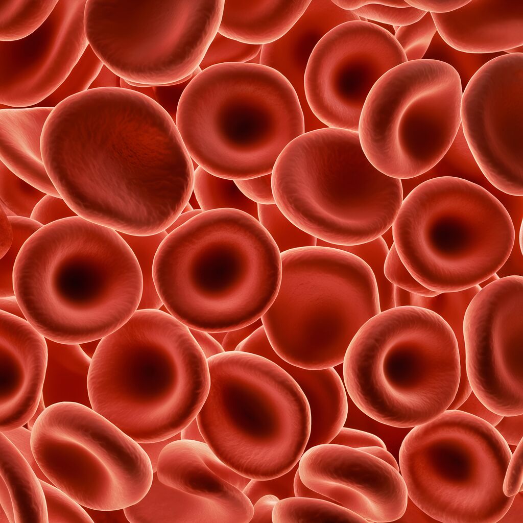 Šta Nam Poručuju Niski, Šta Visoki Eritrociti I Koje Su Prosečne ...