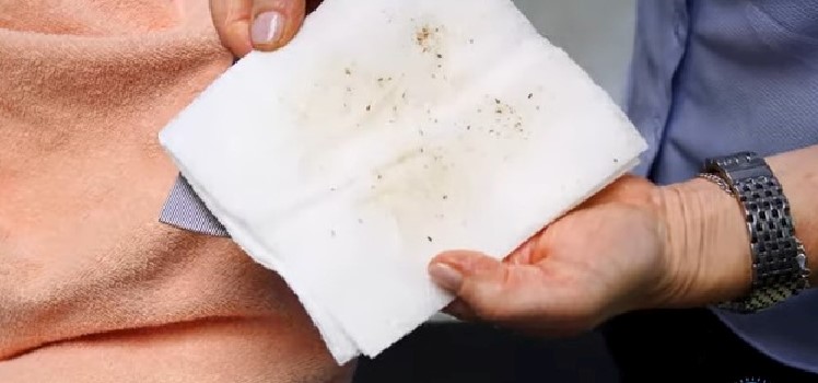 Kako se rešiti vaški? Najbolji načini